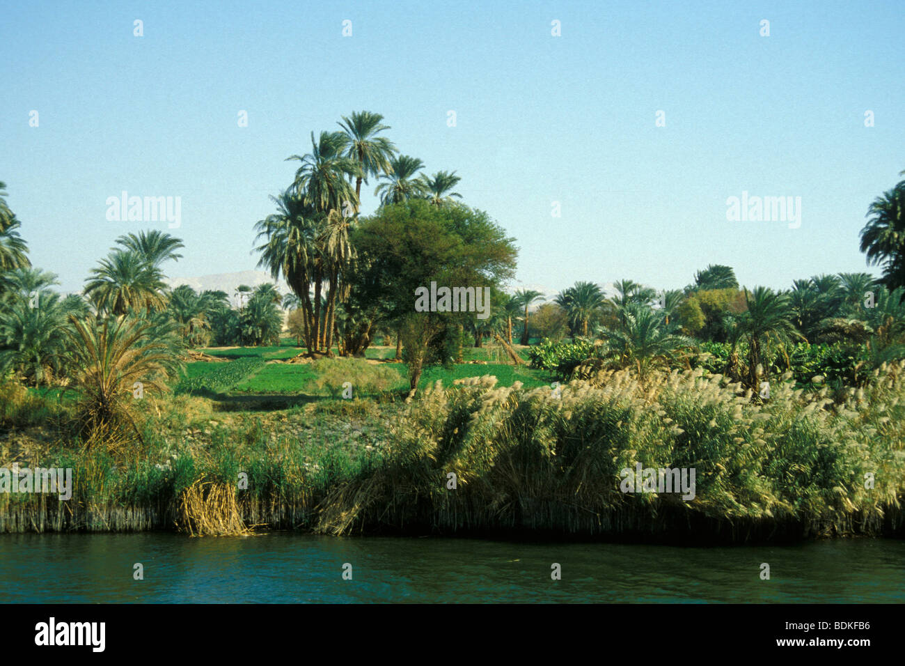 egypt, blu nile Stock Photo - Alamy