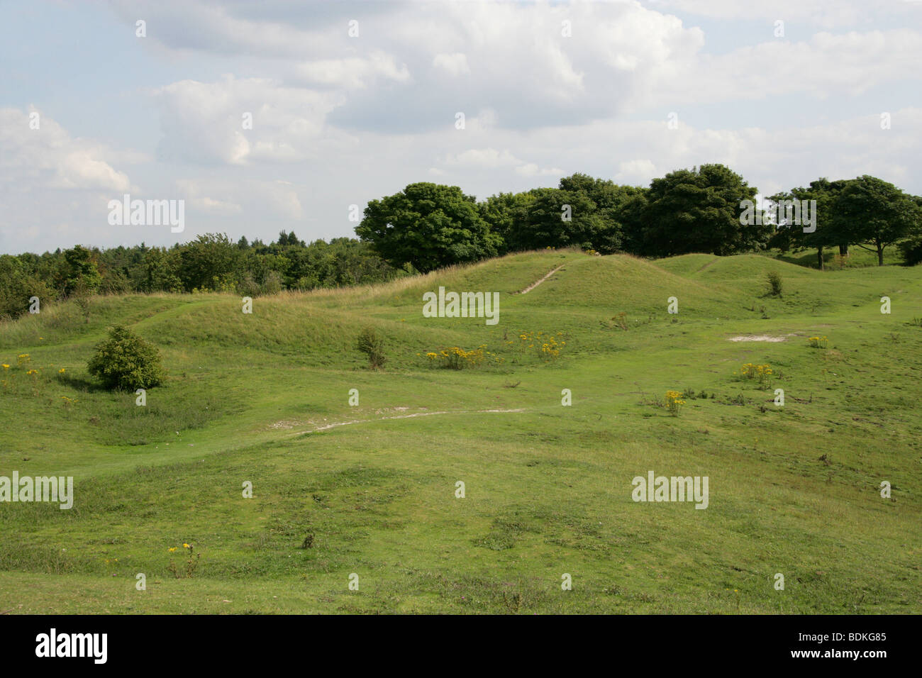 Five Knolls, Dunstable Downs, Bedfordshire. Neolithic or Early Bronze ...