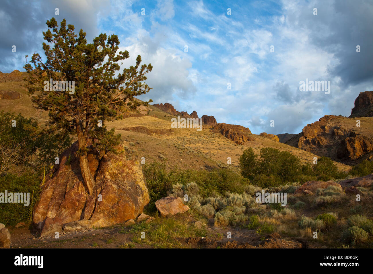 pikes creek landscape at the base of steens mountain Stock Photo - Alamy