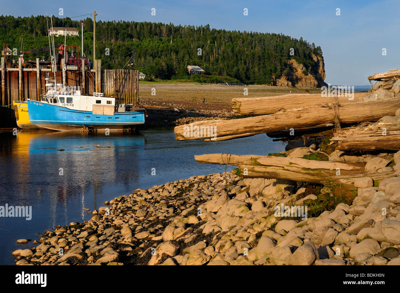 Bay of fundy national park hi-res stock photography and images - Alamy