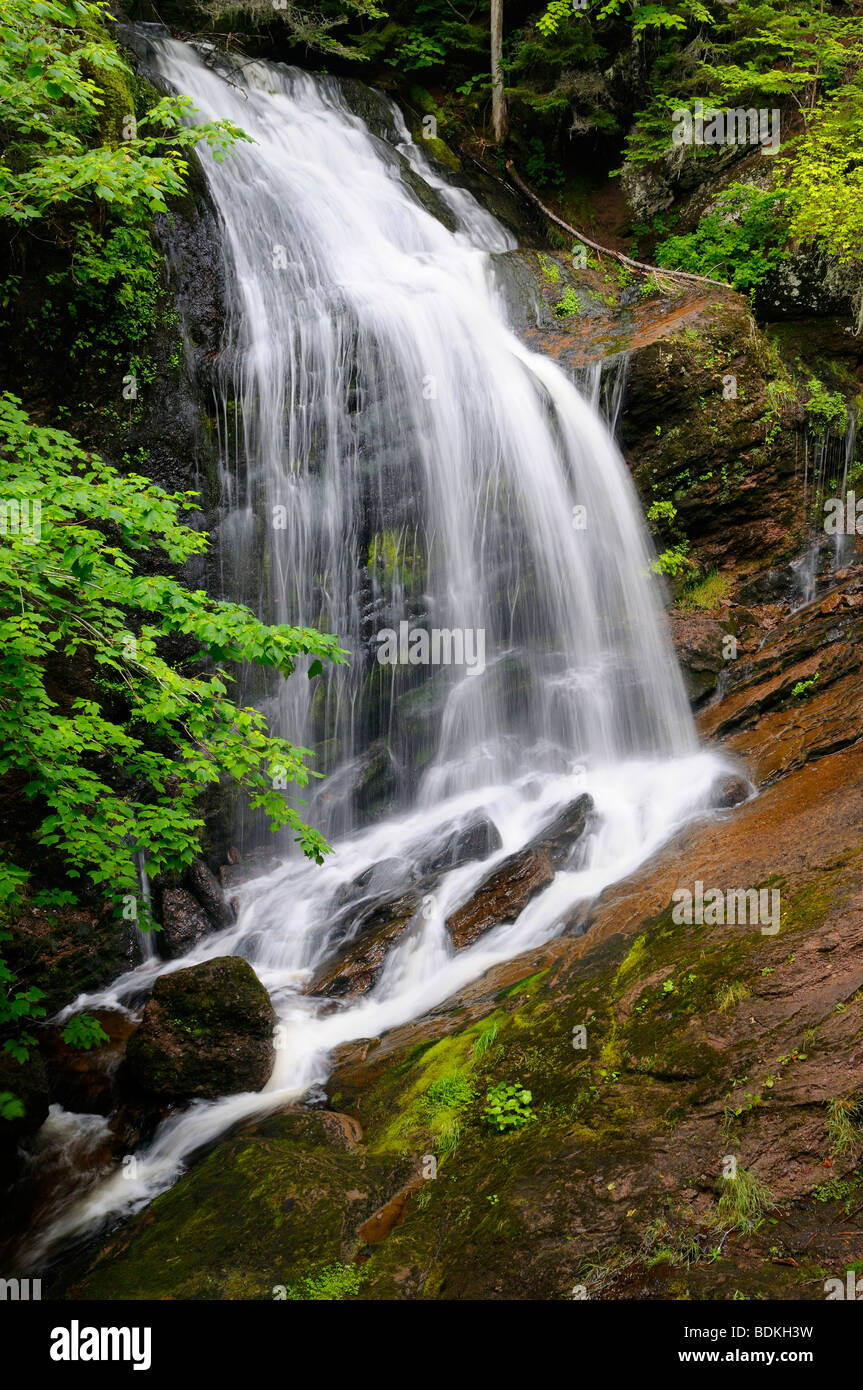 Fuller Falls waterfall Fuller brook on the Fundy Trail Parkway coastal ...