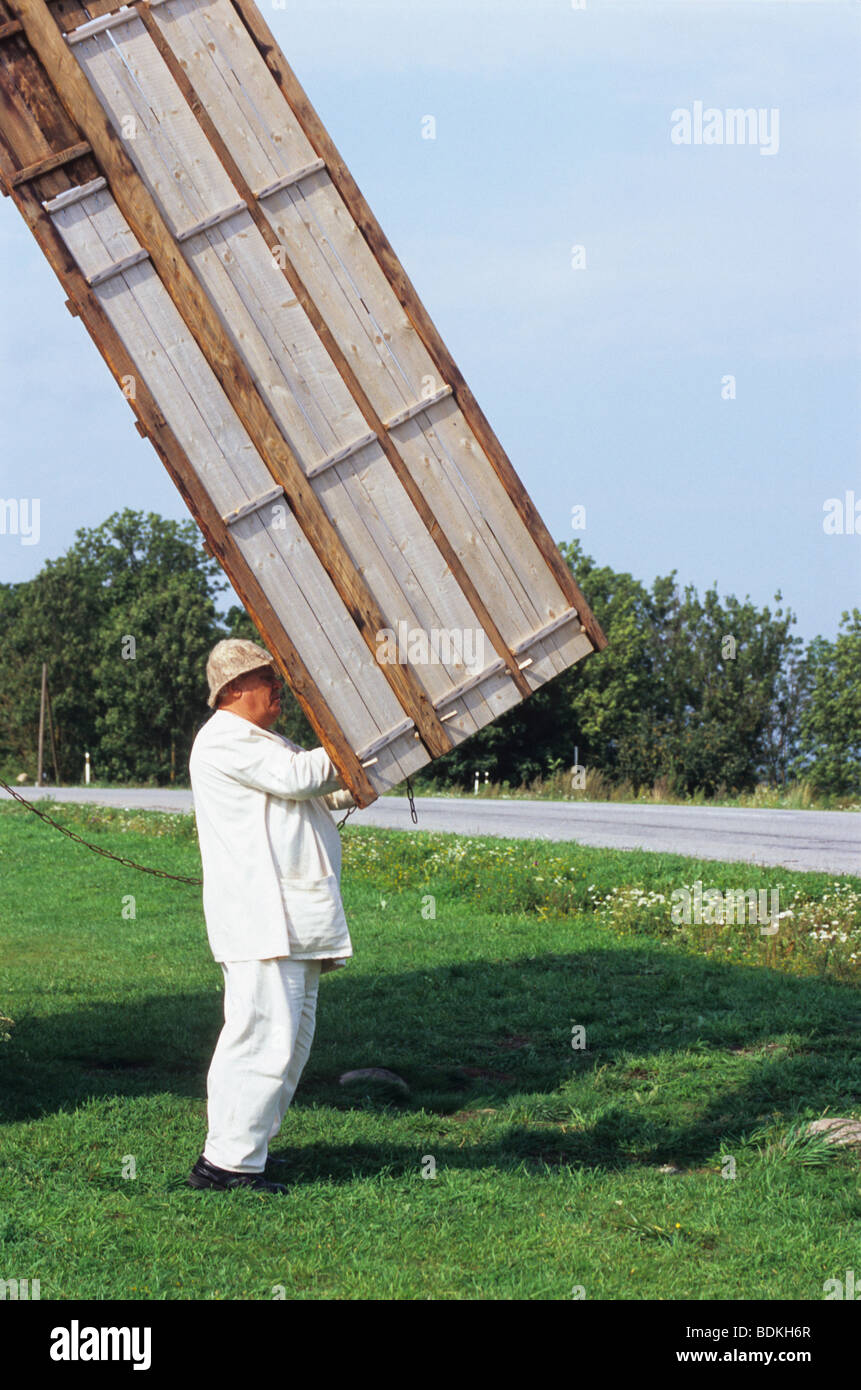 Man moving a windmill vane, Open Air Museum, Angla, Saaremaa Island ...