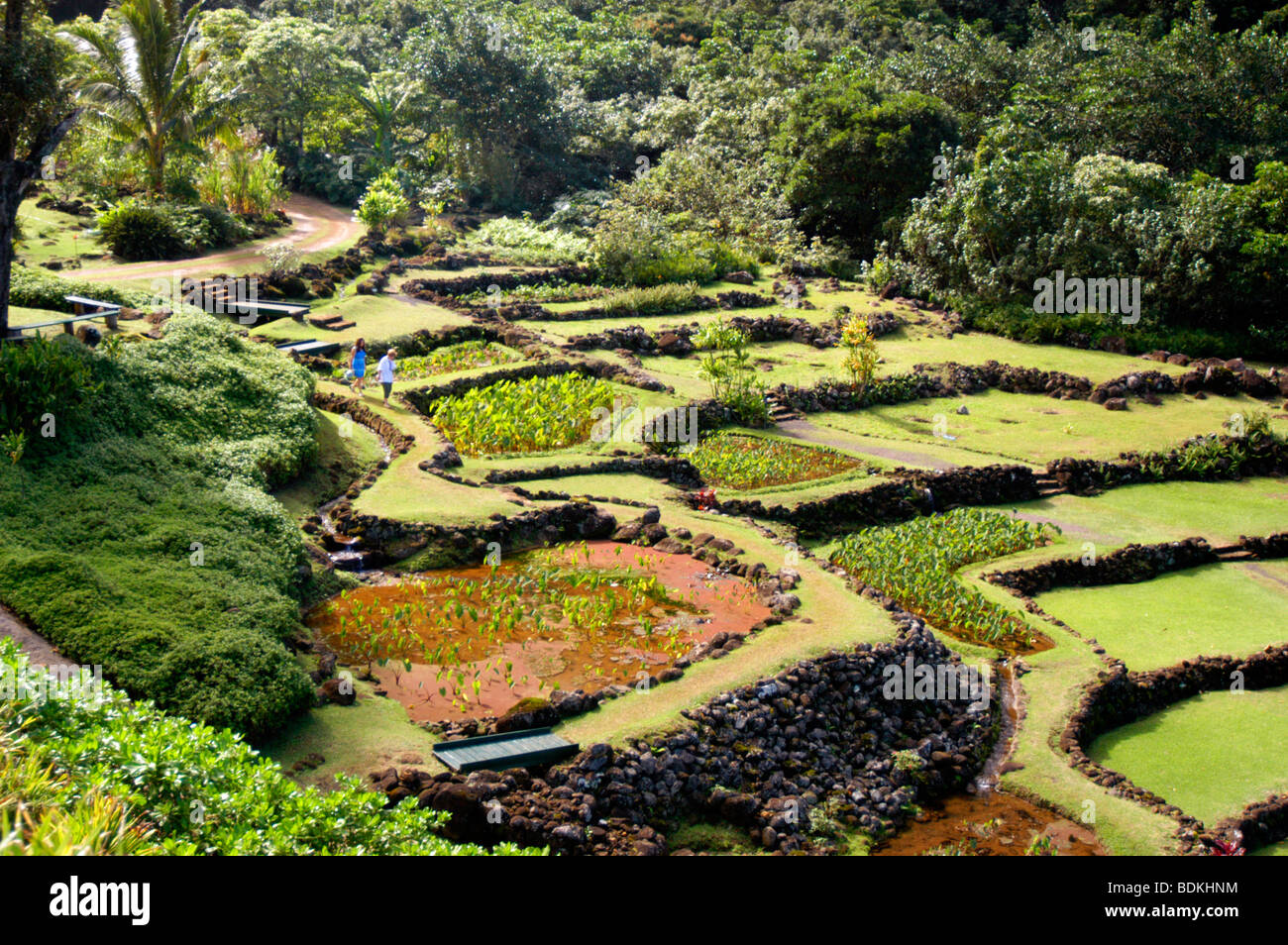 Limahuli garden hi-res stock photography and images - Alamy