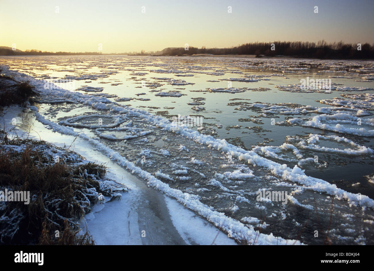 Floating ice floes hi-res stock photography and images - Alamy