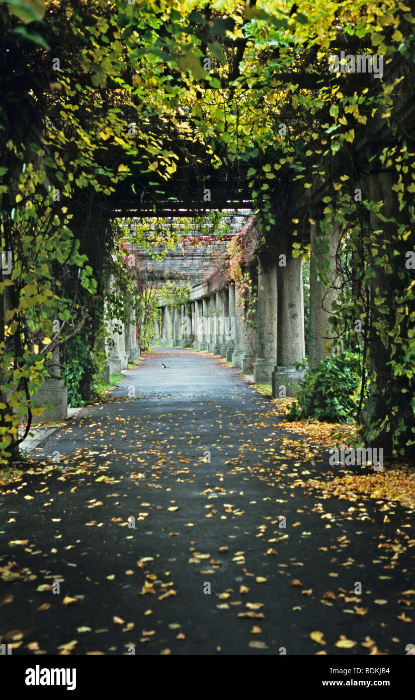 Pergola near Centennial Hall in autumn, Wroclaw, Poland Stock Photo - Alamy