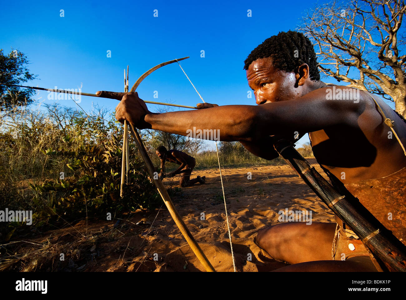 Ju/Hoansi San Bushmen with bow and arrow in Grashoek area, northern ...