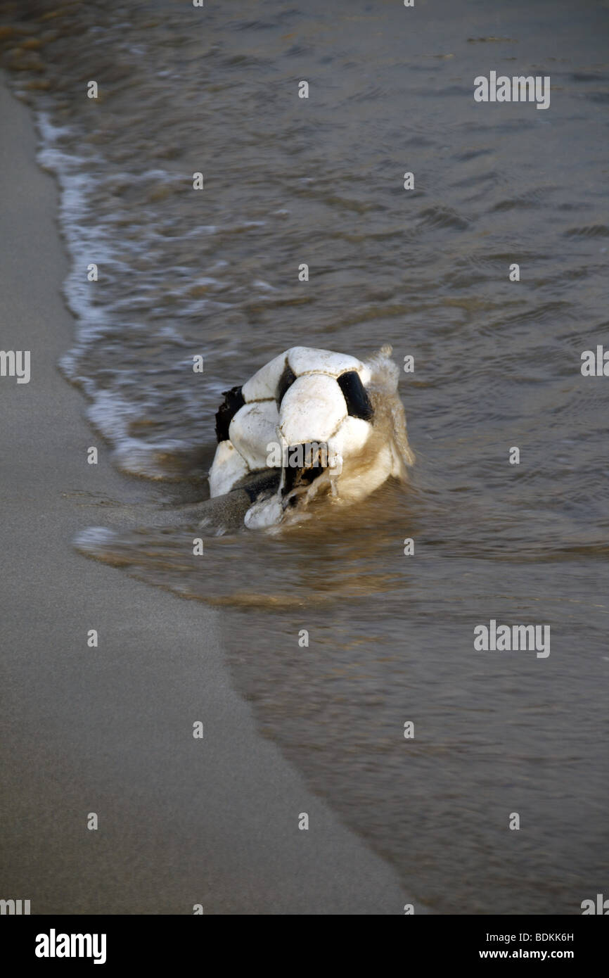 Deflated Beach Ball High Resolution Stock Photography and Images - Alamy
