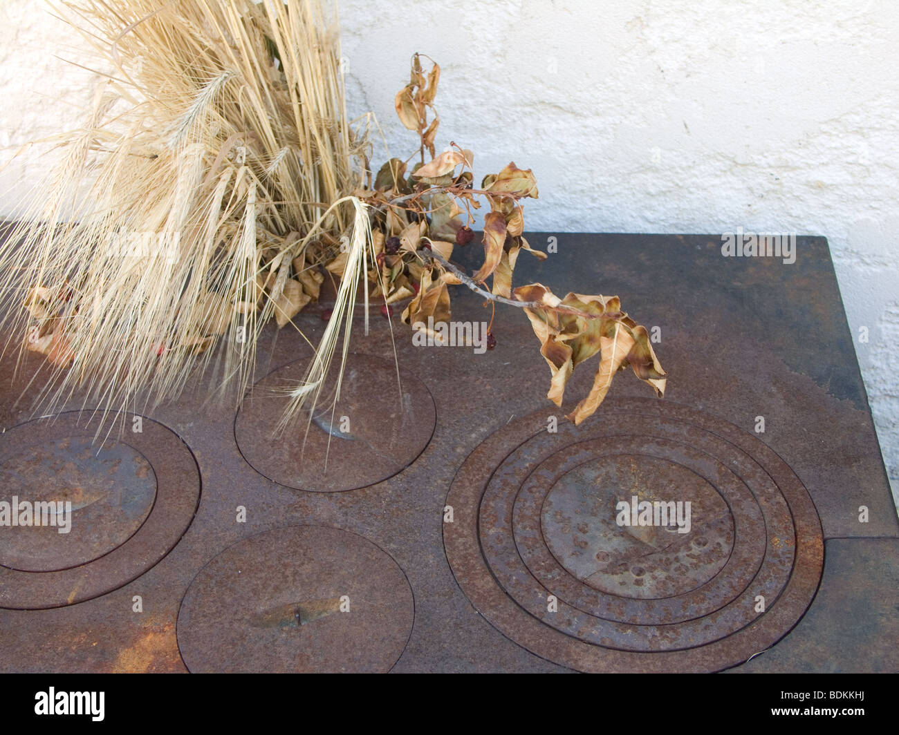 Hot plate cooker hi-res stock photography and images - Alamy