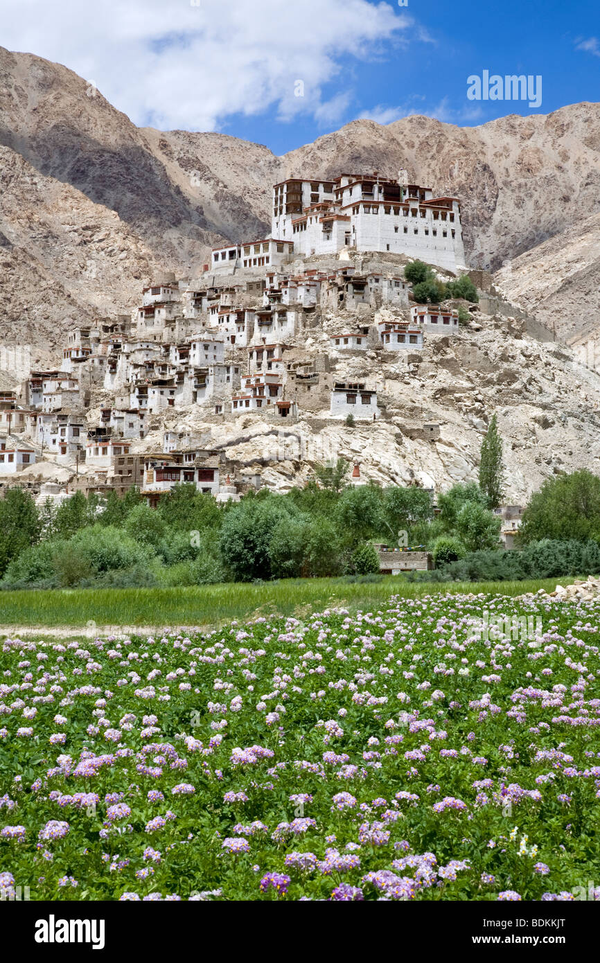 Chemrey Buddhist monastery. Ladakh. India Stock Photo - Alamy