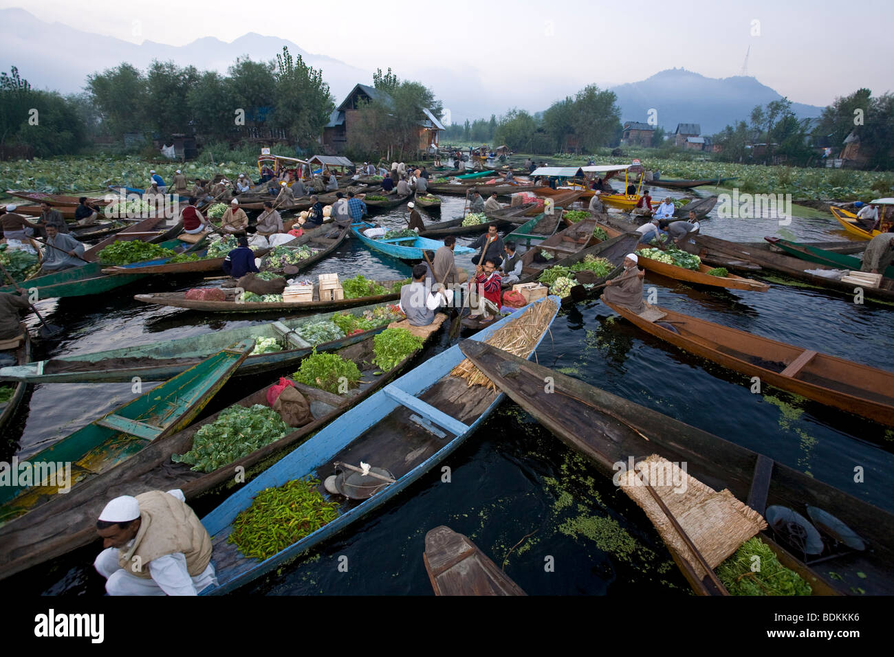 Floating market. Dal Lake. Srinagar. Kashmir. India Stock Photo - Alamy
