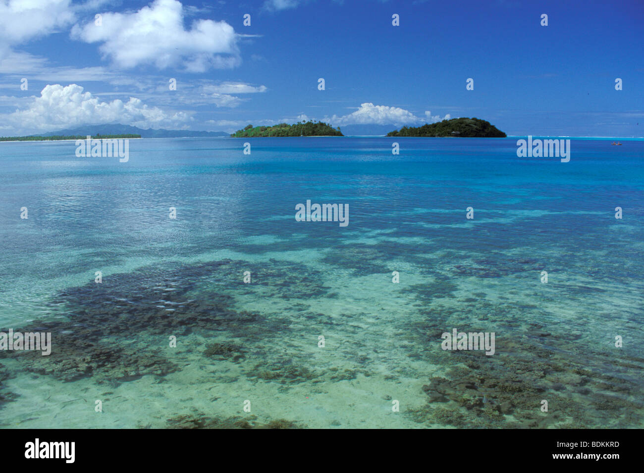 French Polynesia, Oceania Stock Photo - Alamy