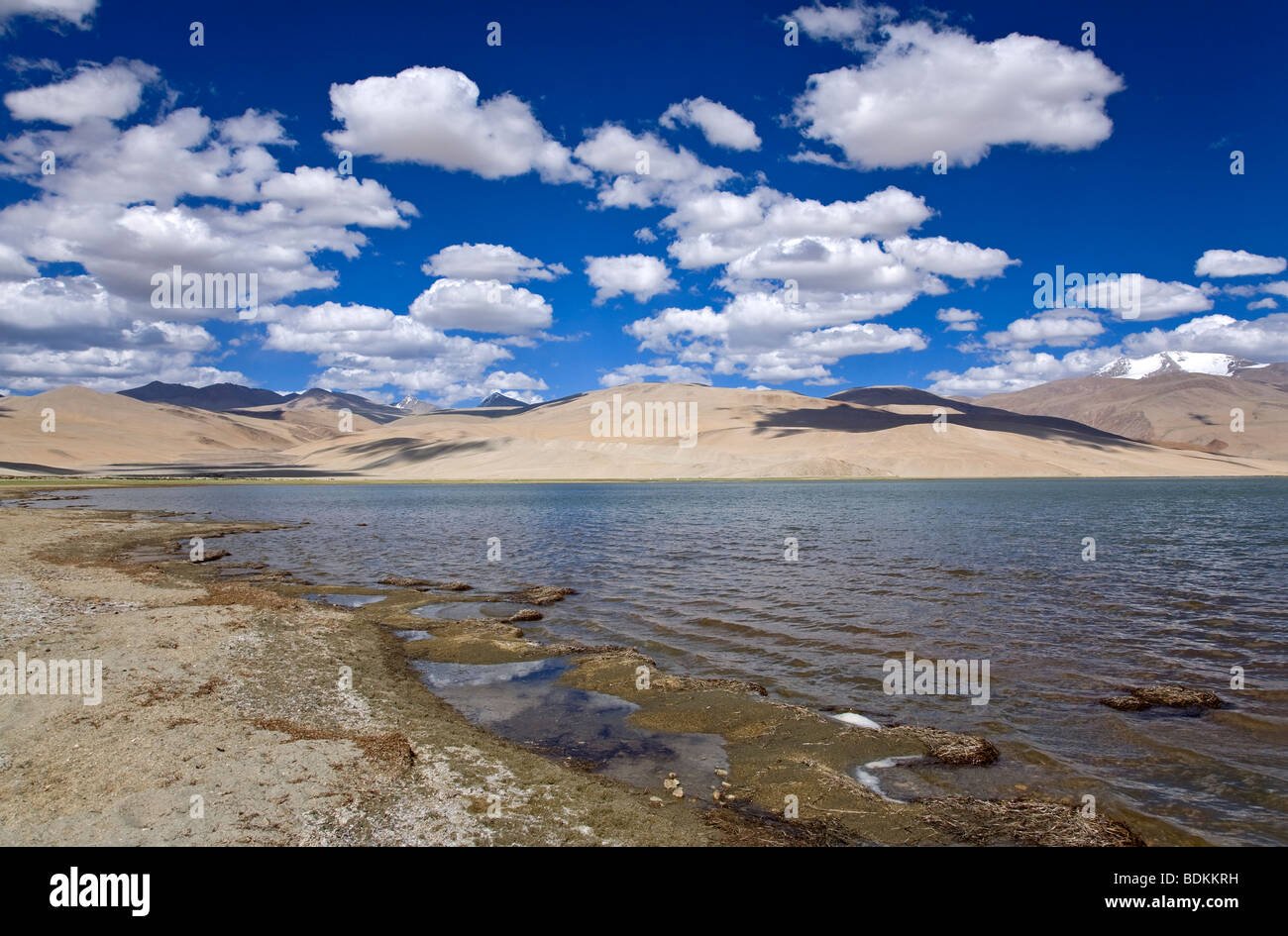 Tso Moriri Lake. Ladakh. India Stock Photo - Alamy