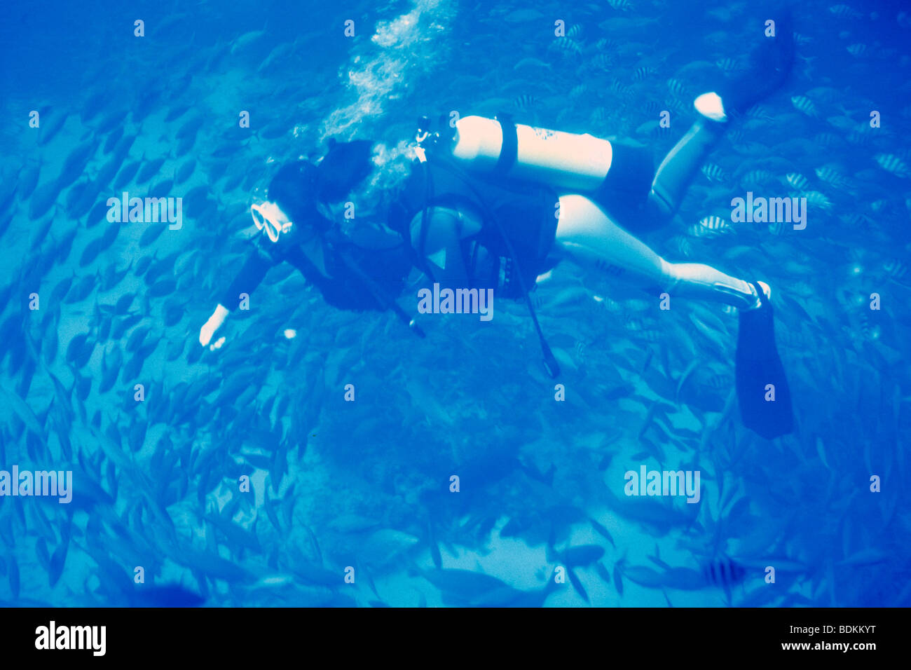 French Polynesia, Oceania Stock Photo - Alamy