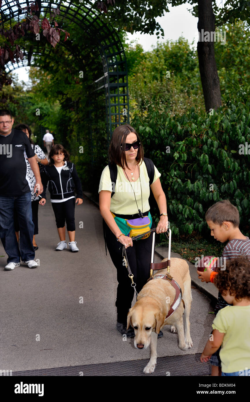 Seeing Eye Dog With Blind Person