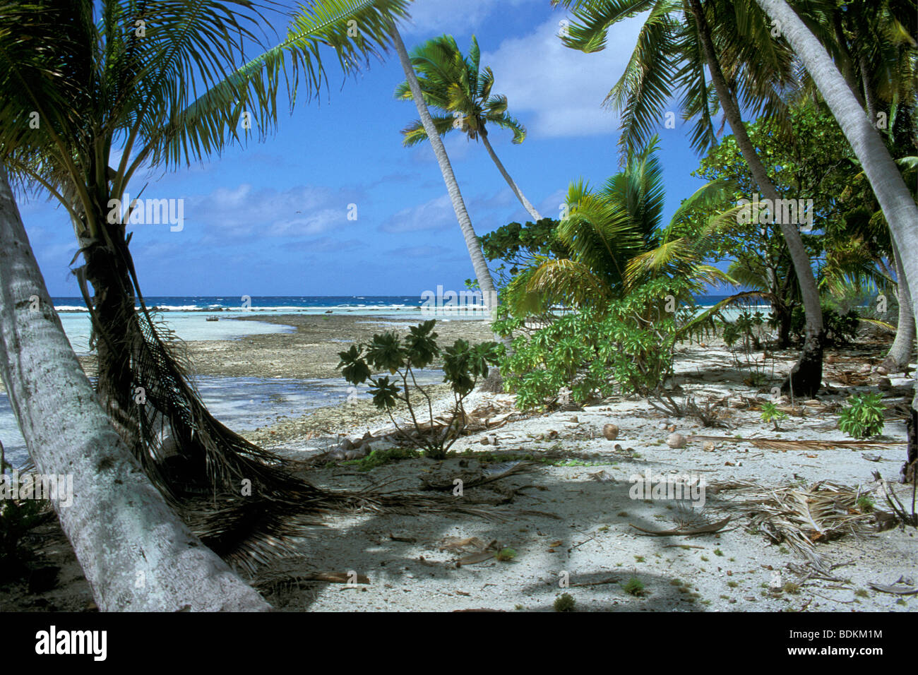 French Polynesia, Oceania Stock Photo - Alamy