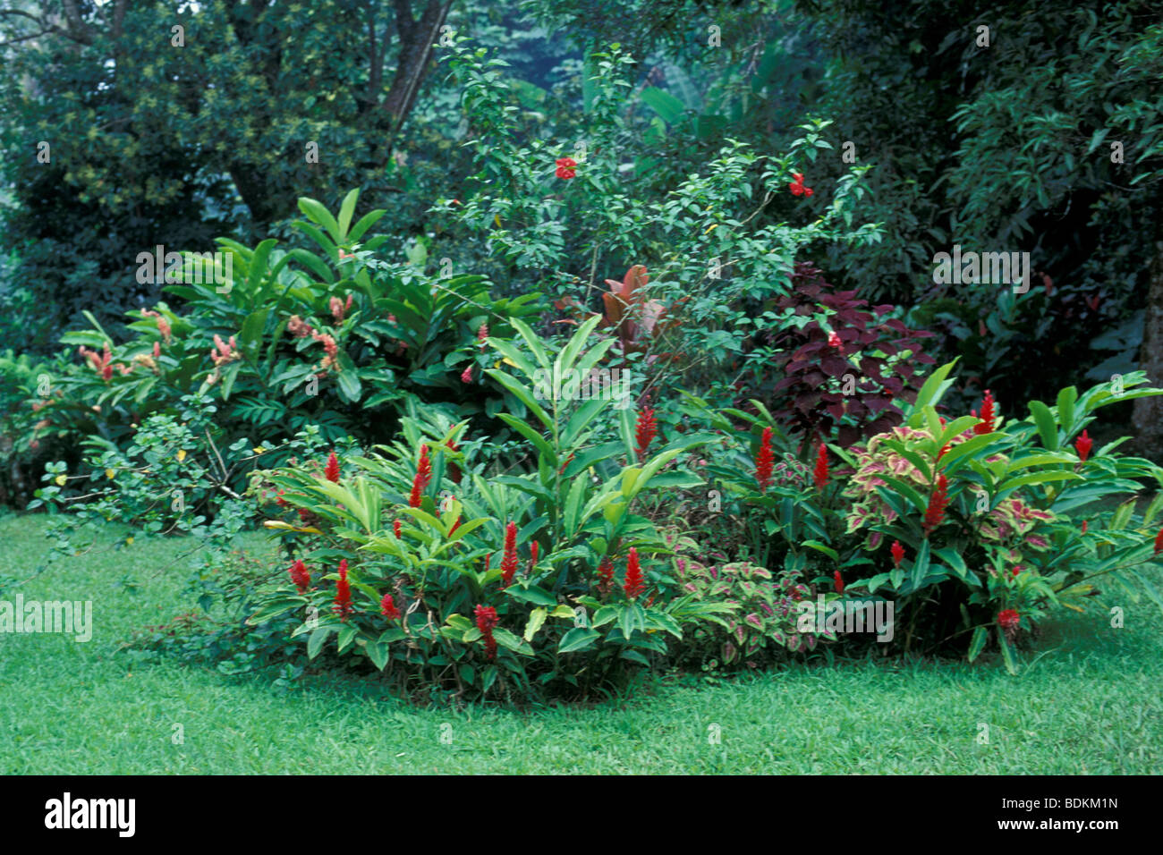 French Polynesia, Oceania Stock Photo - Alamy