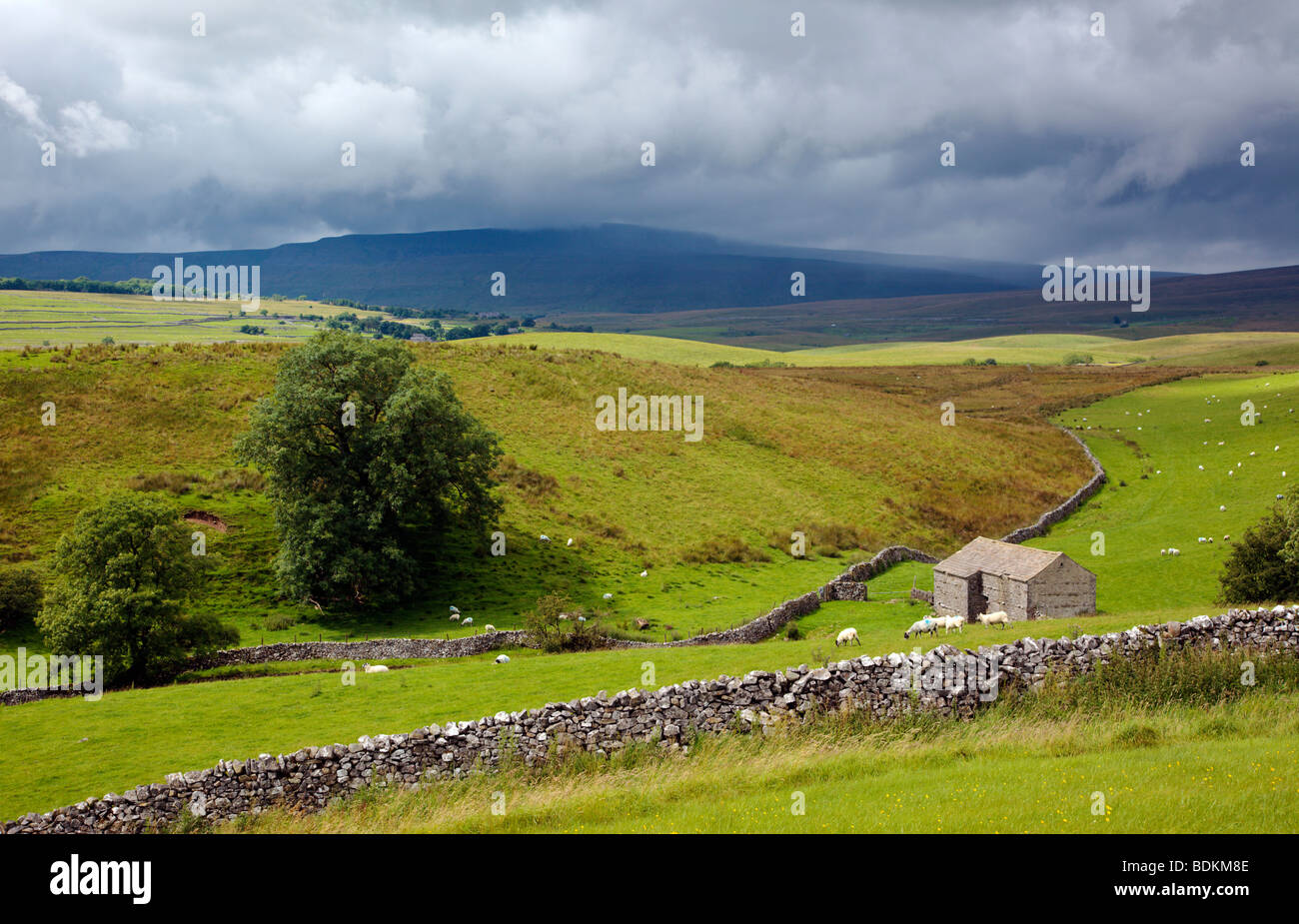 Whernside hi-res stock photography and images - Alamy