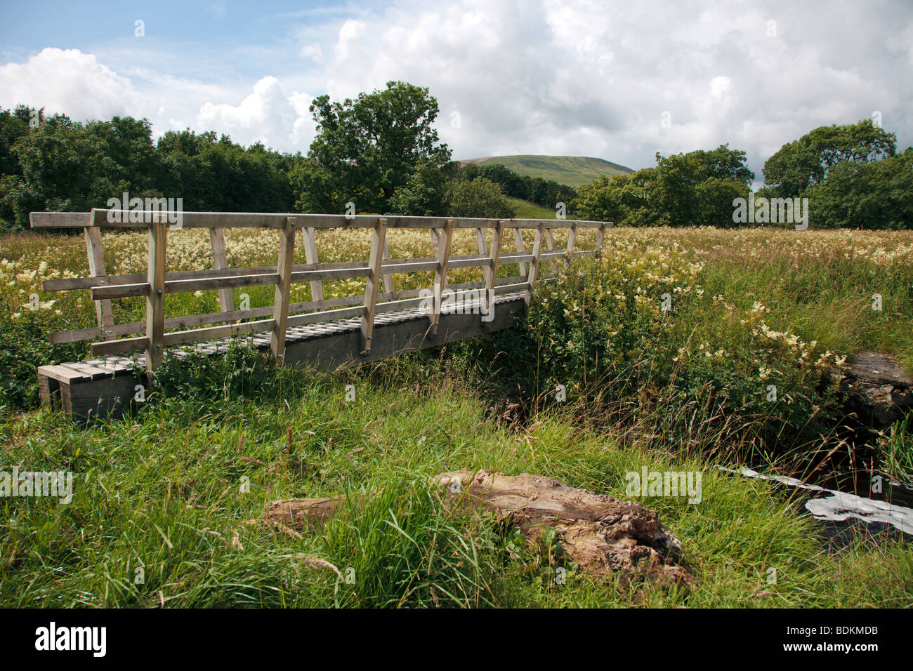 Foot bridge across a stream at Low Birkwith in the Yorkshire Dales ...