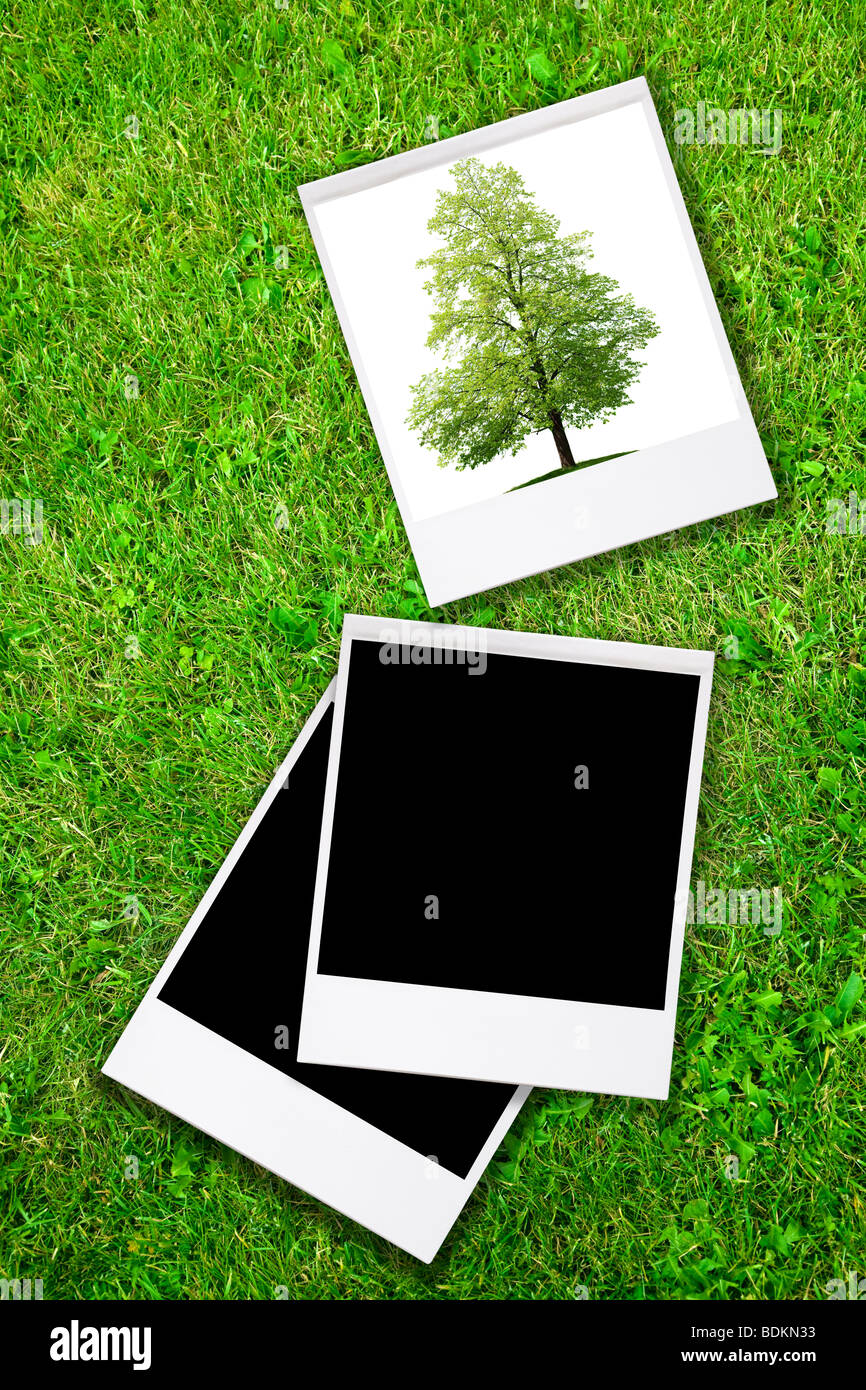 blank for your design and art work Stock Photo - Alamy