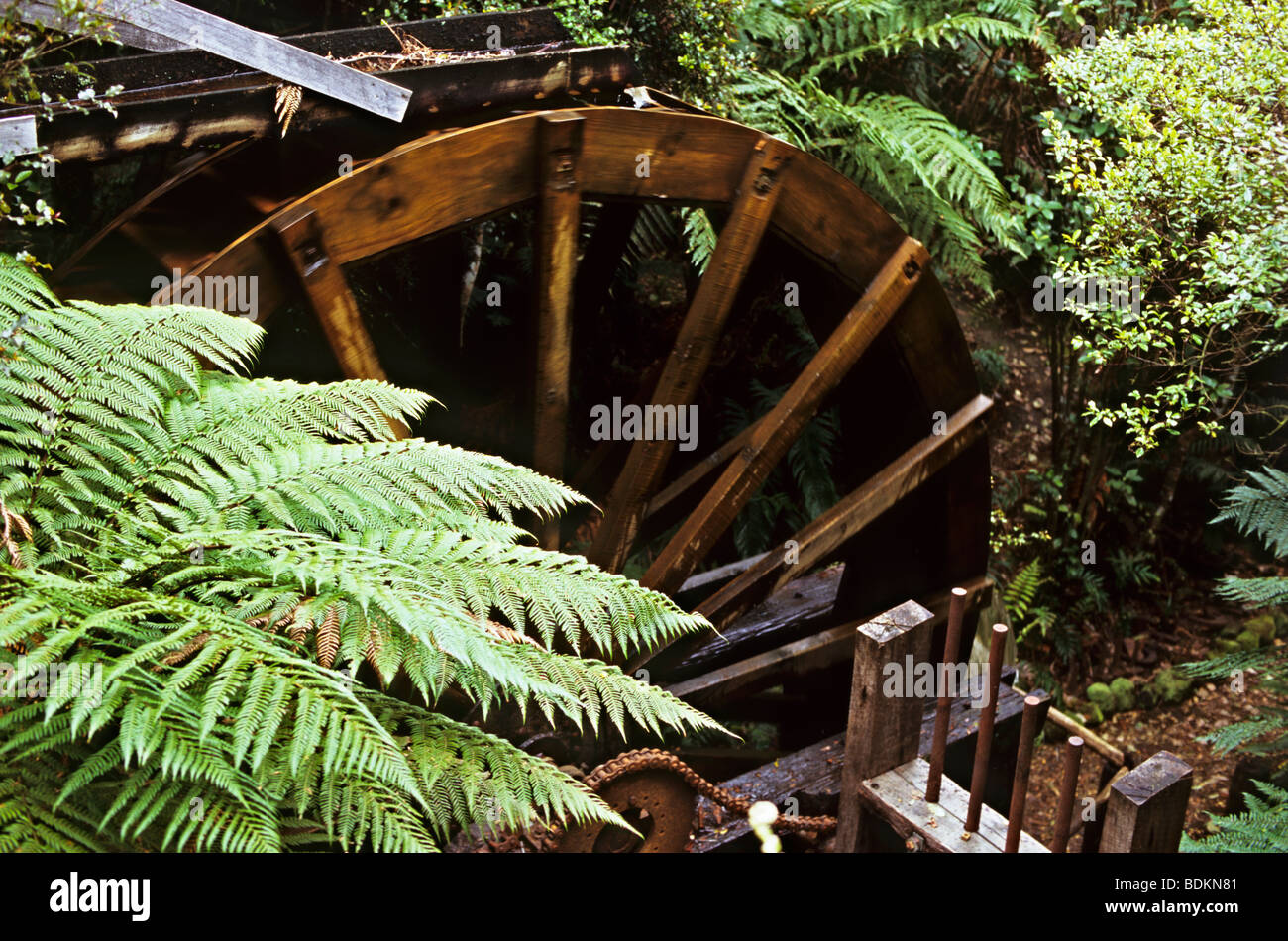 Wooden waterwheel, Mitchell's Gully gold mine, west coast, South Island ...