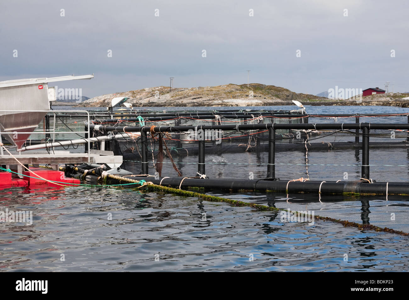 Cage system aquaculture hi-res stock photography and images - Alamy