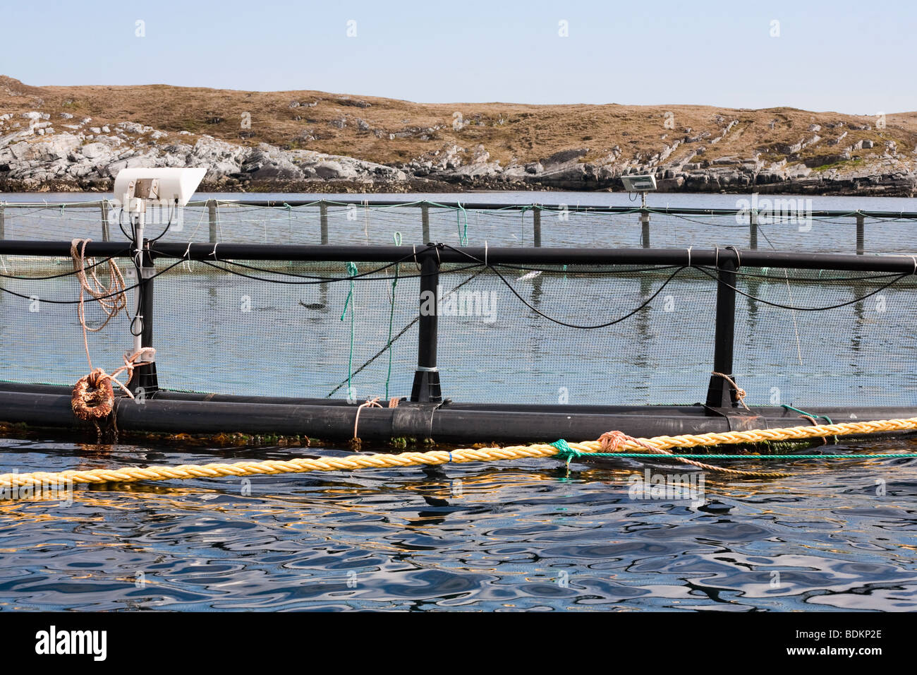 Cage System High Resolution Stock Photography and Images - Alamy