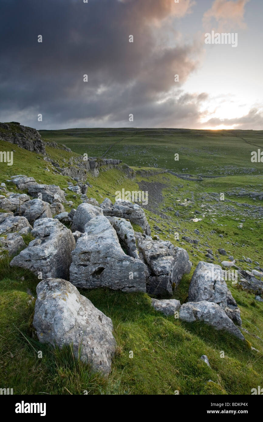 Moorland above malham hi-res stock photography and images - Alamy