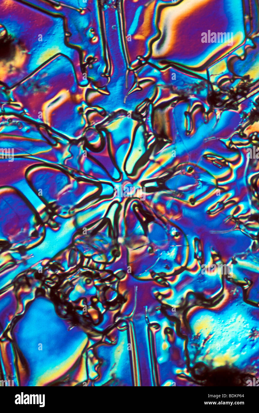 photomicrograph of a snowflake Stock Photo - Alamy