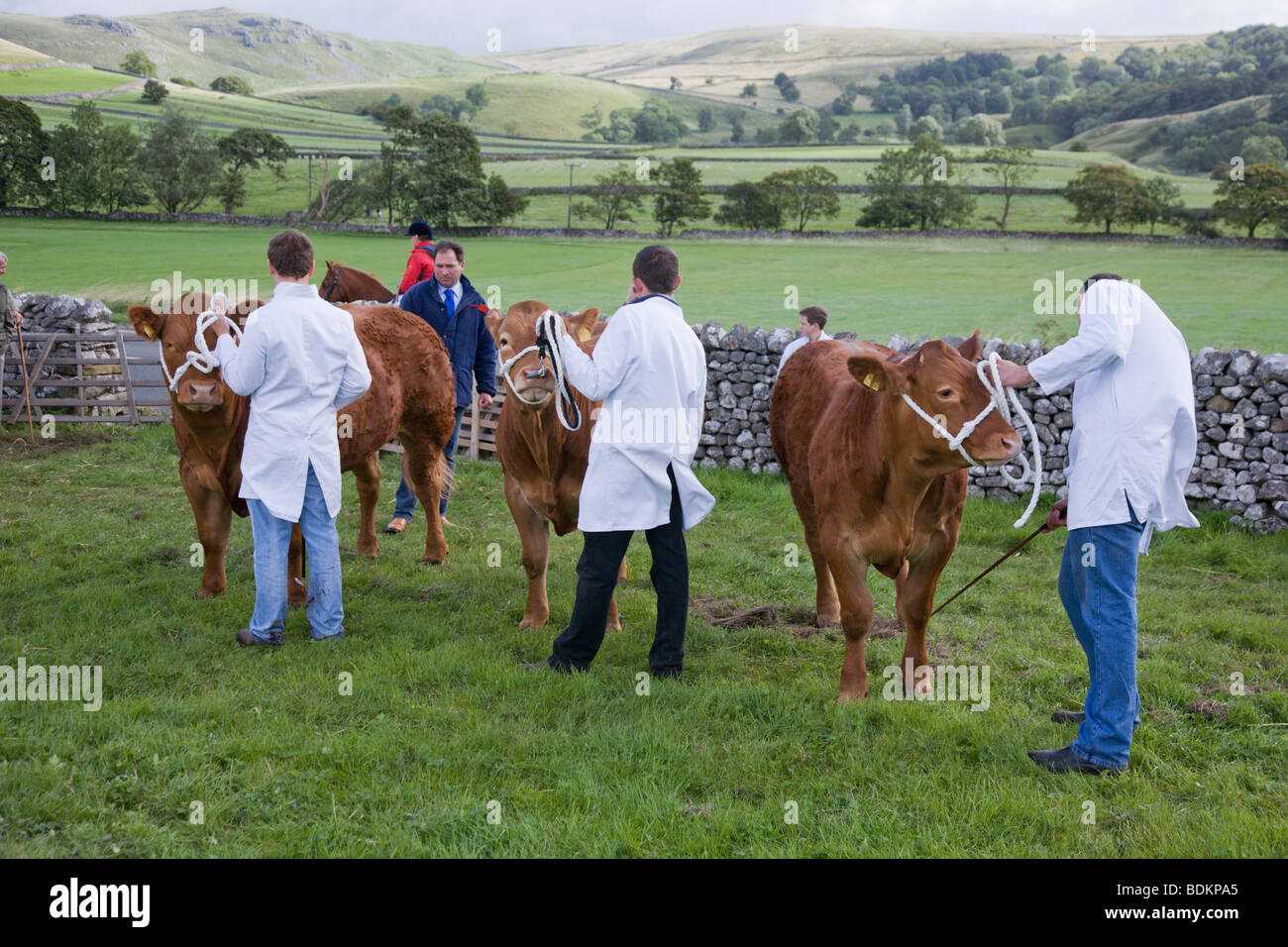 Malham show yorkshire dales hi-res stock photography and images - Alamy