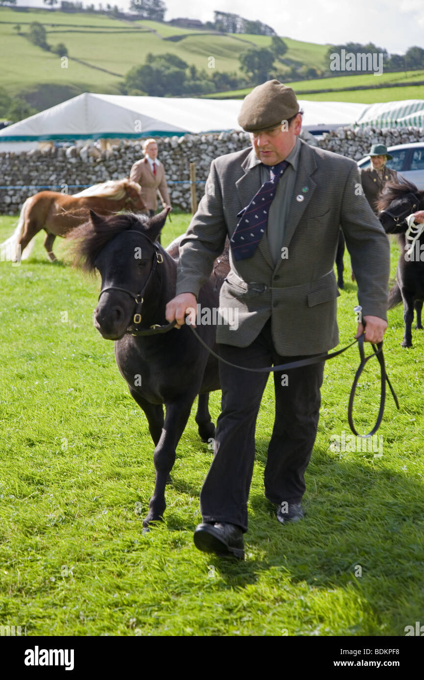 Pony ring hi-res stock photography and images - Alamy