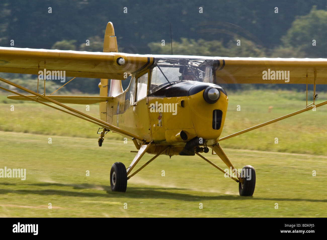Auster Plane High Resolution Stock Photography and Images - Alamy