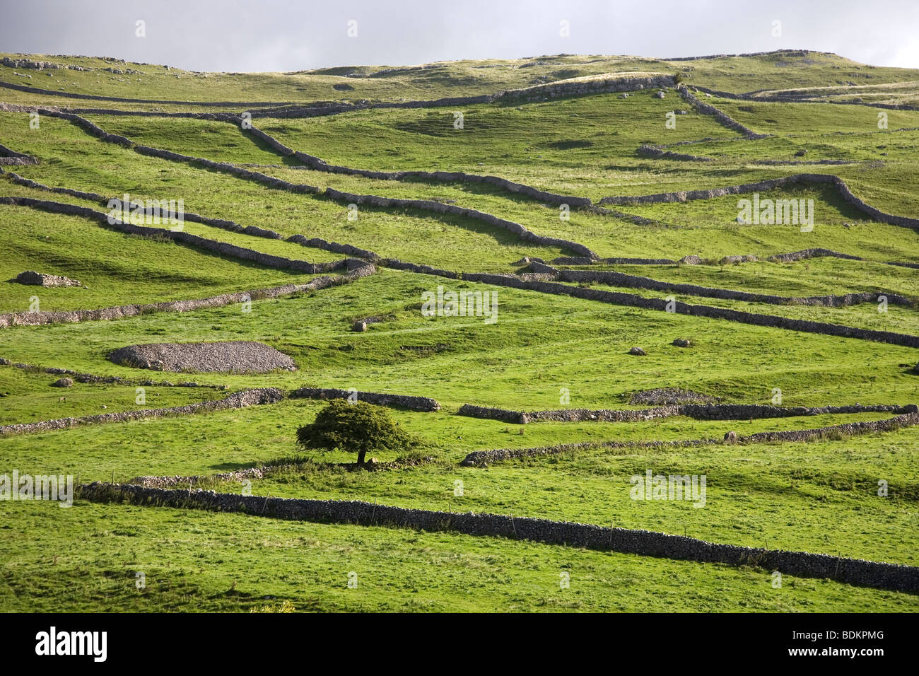 Iron age farming hi-res stock photography and images - Alamy