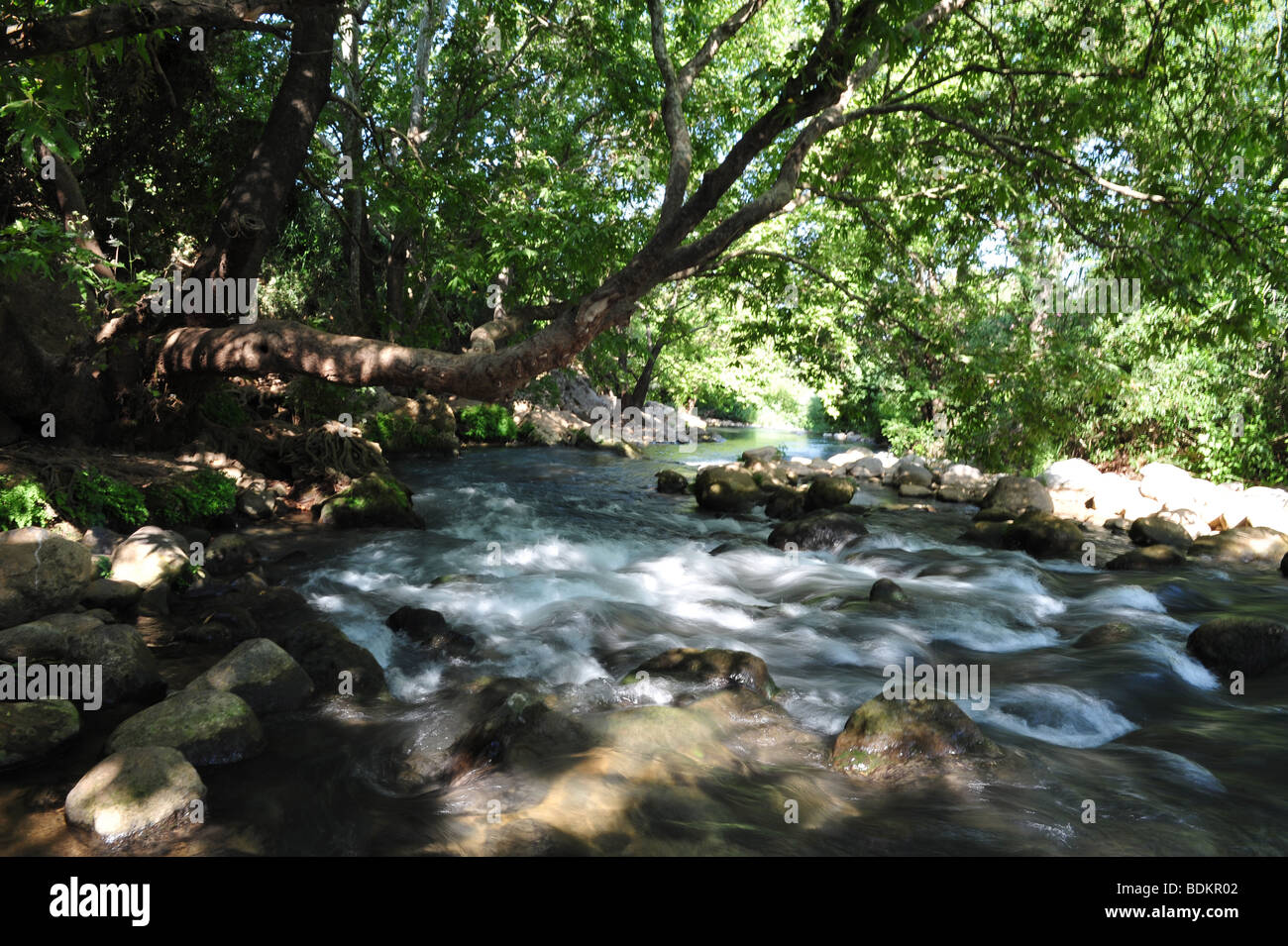Tel Dan Nature Reserve Israel High Resolution Stock Photography and ...