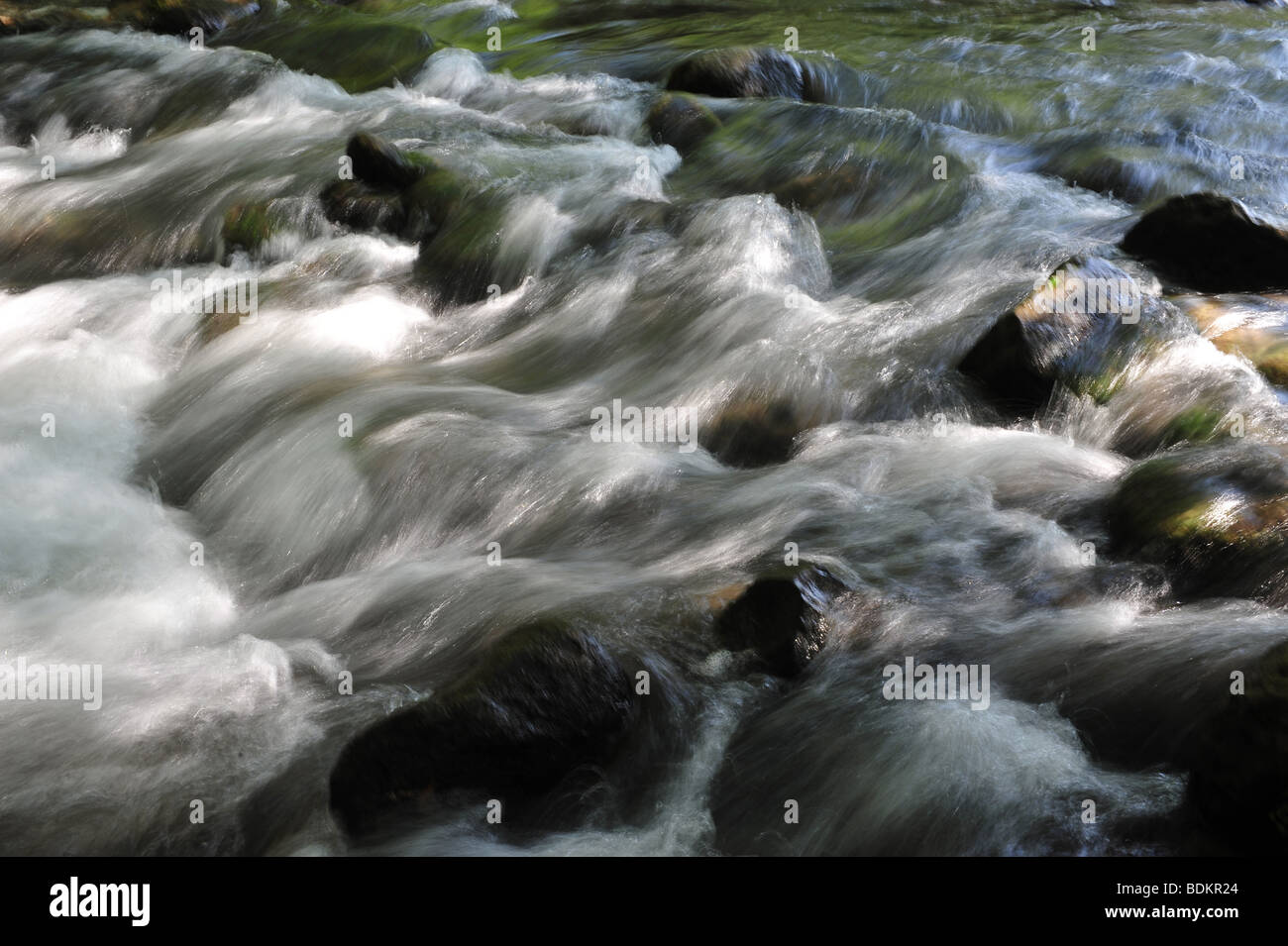 Tel Dan Nature Reserve Israel High Resolution Stock Photography and ...