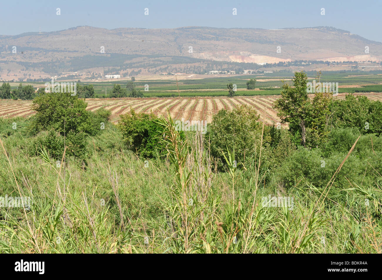Tel Dan Nature Reserve Israel High Resolution Stock Photography and ...