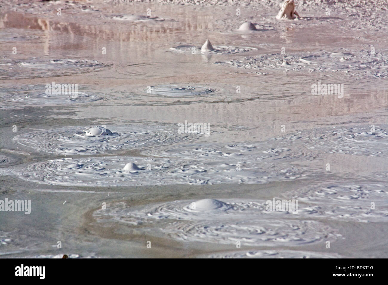 Bursting bubbles of mud, Fountain Paint Pots Trail, Yellowstone ...