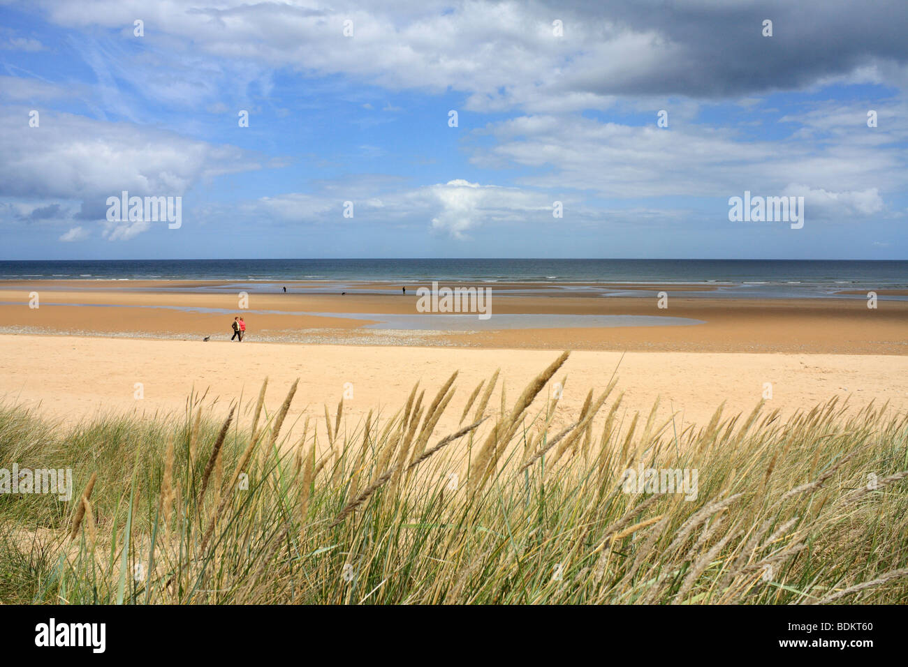 Omaha beach, one of the D-Day landing beaches used during the Allied ...