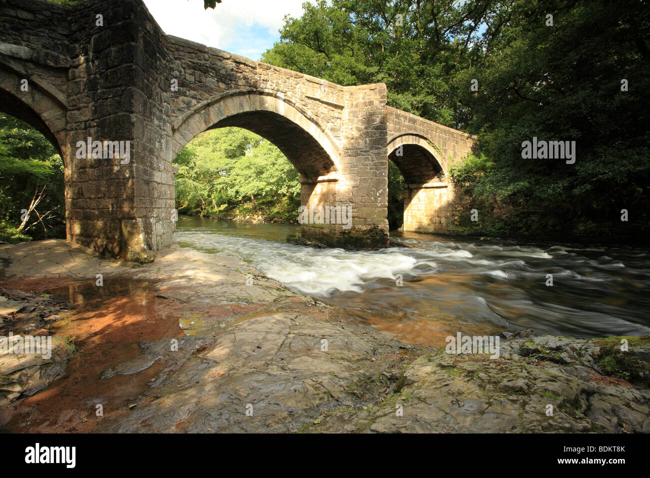 New Bridge on River Dart, near Holne Woods Dartmoor, Devon, England, UK Stock Photo - Alamy
