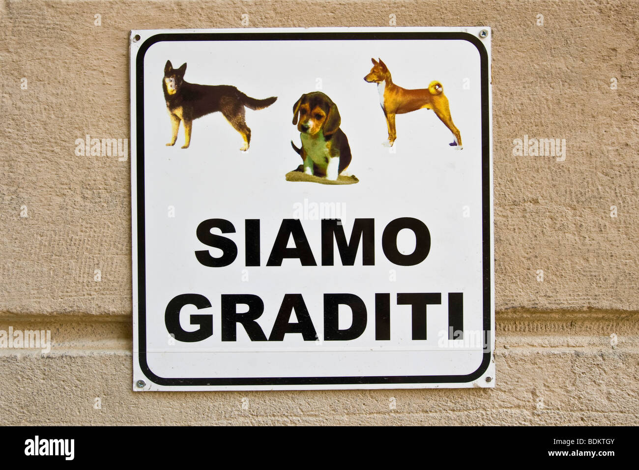 dogs, we welcome Stock Photo - Alamy