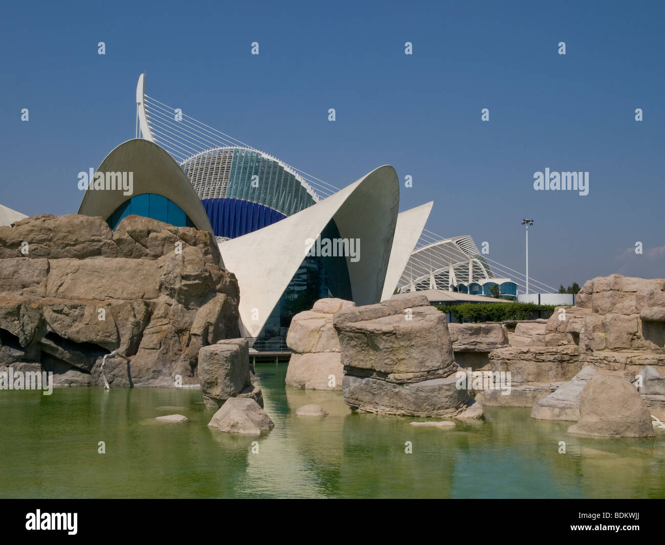 L'Oceanografic building view Stock Photo - Alamy