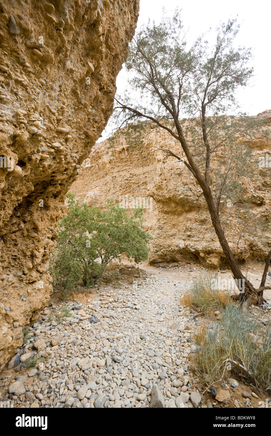 Sesreim Canyon Namibia Stock Photo - Alamy