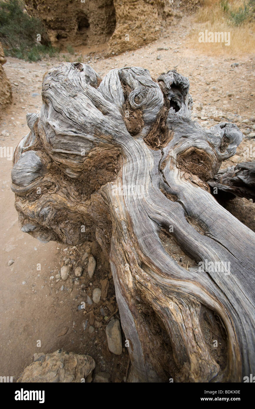Sesreim Canyon Namibia Stock Photo - Alamy