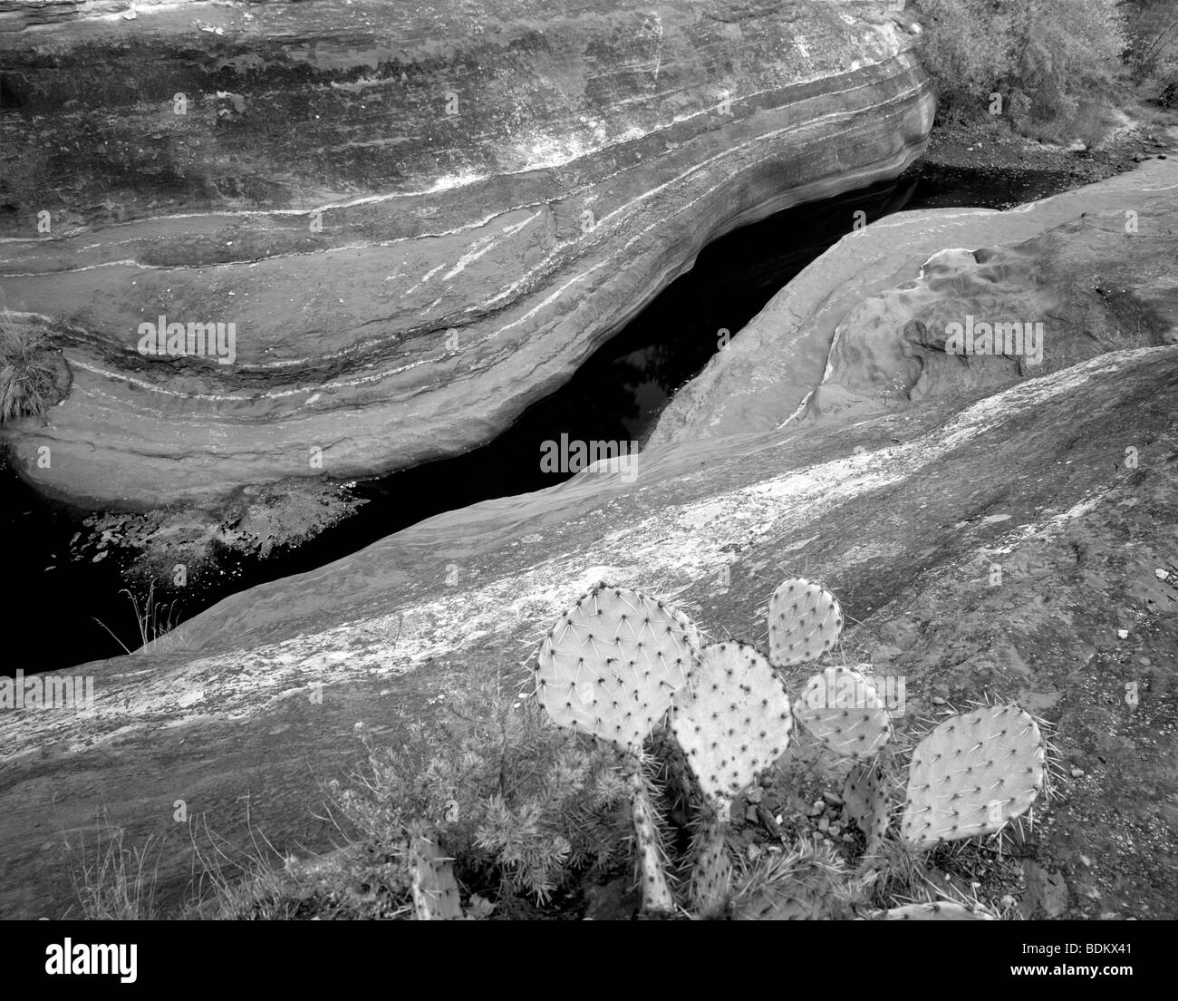 Small pool water in Black and White Stock Photos & Images - Alamy