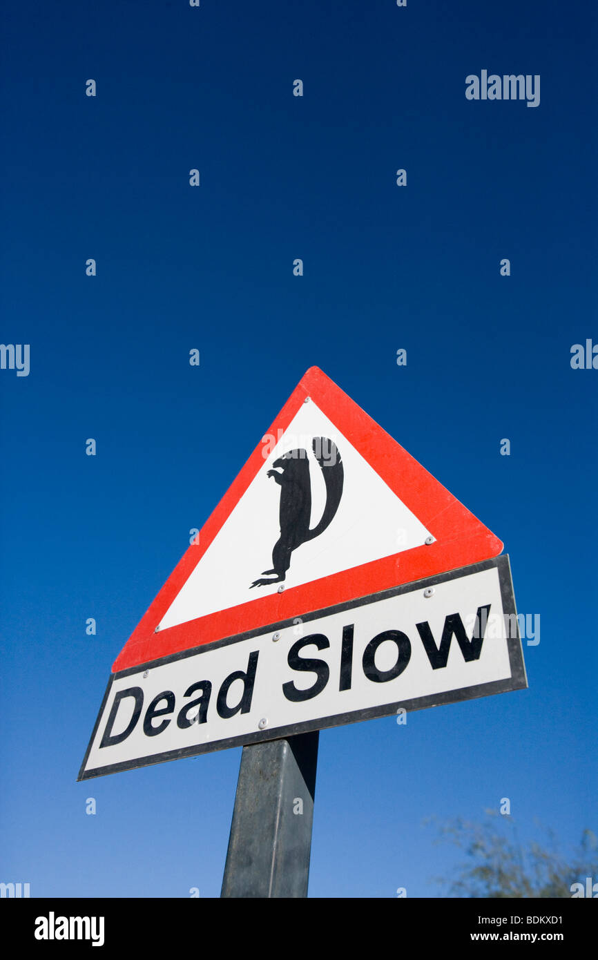 Dead slow sign hi-res stock photography and images - Alamy