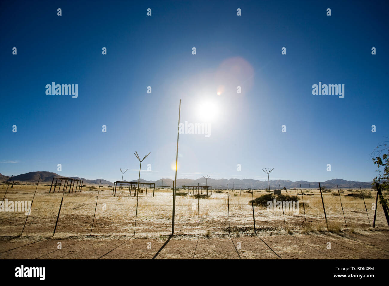 Solitaire namibia hi-res stock photography and images - Alamy