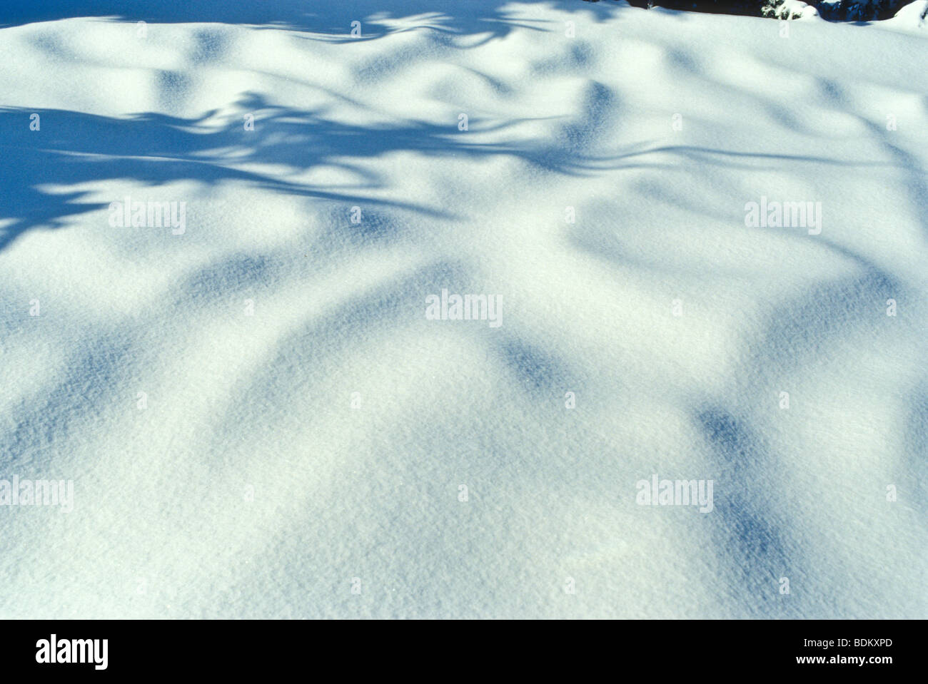 Beautiful design scenarios hi-res stock photography and images - Alamy