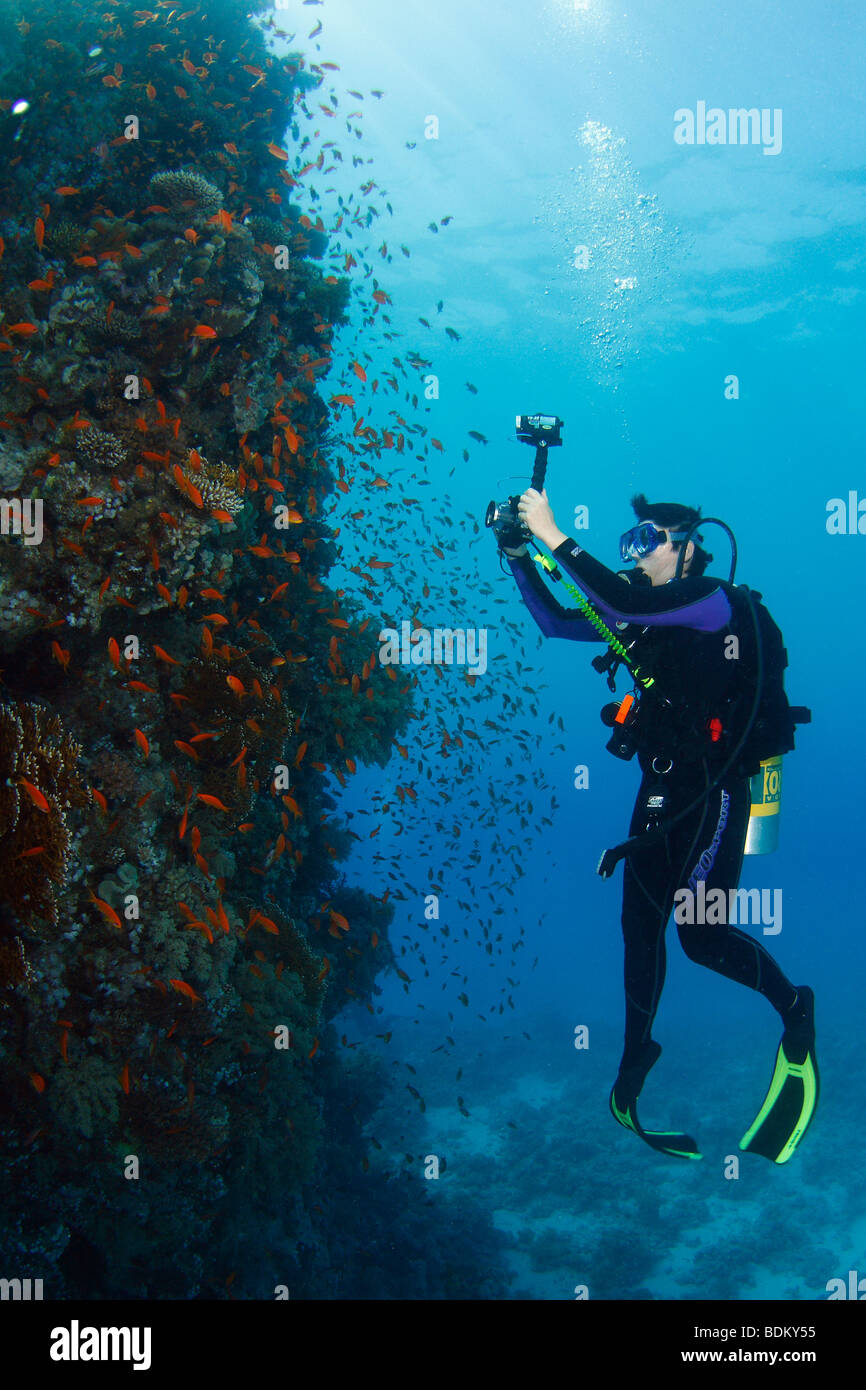 Female diver hi-res stock photography and images - Alamy