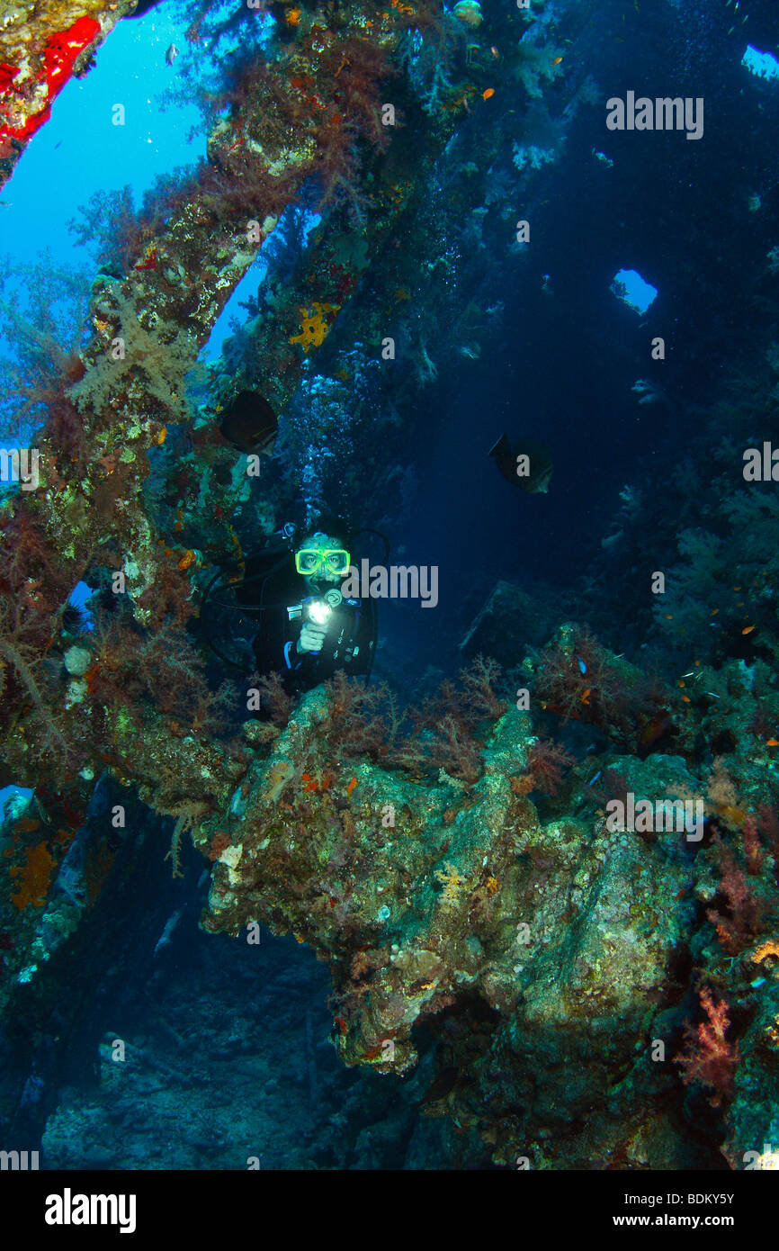 Inside shipwreck hi-res stock photography and images - Alamy