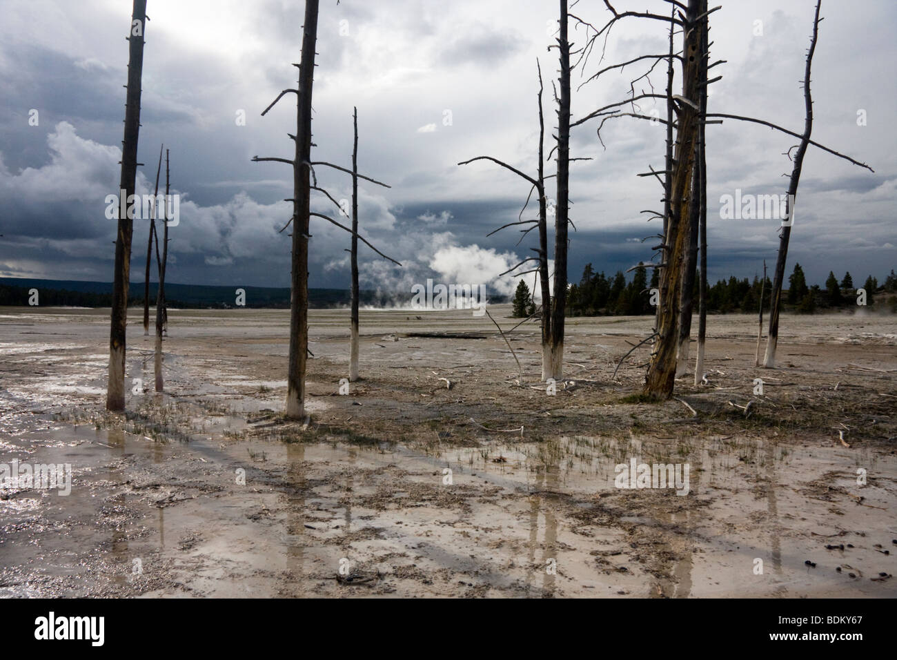 Silica sinter hi-res stock photography and images - Alamy