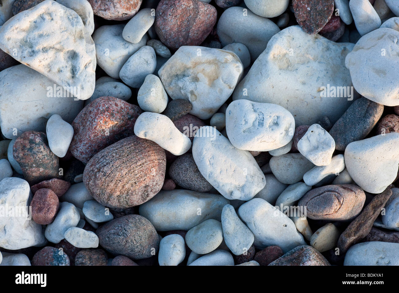 Pebbles on beach Stock Photo - Alamy
